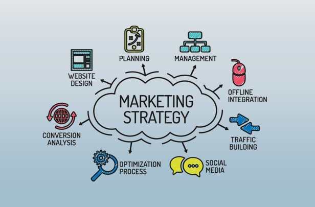 Marketing Strategies: A Comprehensive Guide to Success - Business Verticals